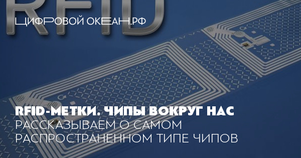 RFID-технология: что это, как работает, виды чипов и сферы применения