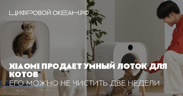 Xiaomi продает умный лоток для котов. Его можно не чистить две недели